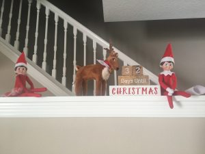 Elf on the Shelf Planning – Tips for a Stress-Free Elf Visit | Florida ...