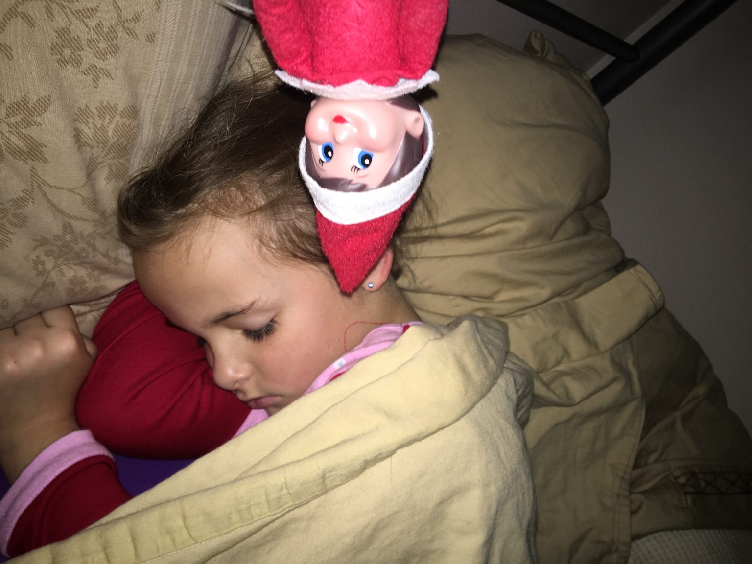 Successful Holiday Travel with Your Scout Elf | Florida Fun Family ...